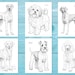 Dog Breeds Coloring Book, 30 Printable Dogs Coloring Pages for Kids and ...