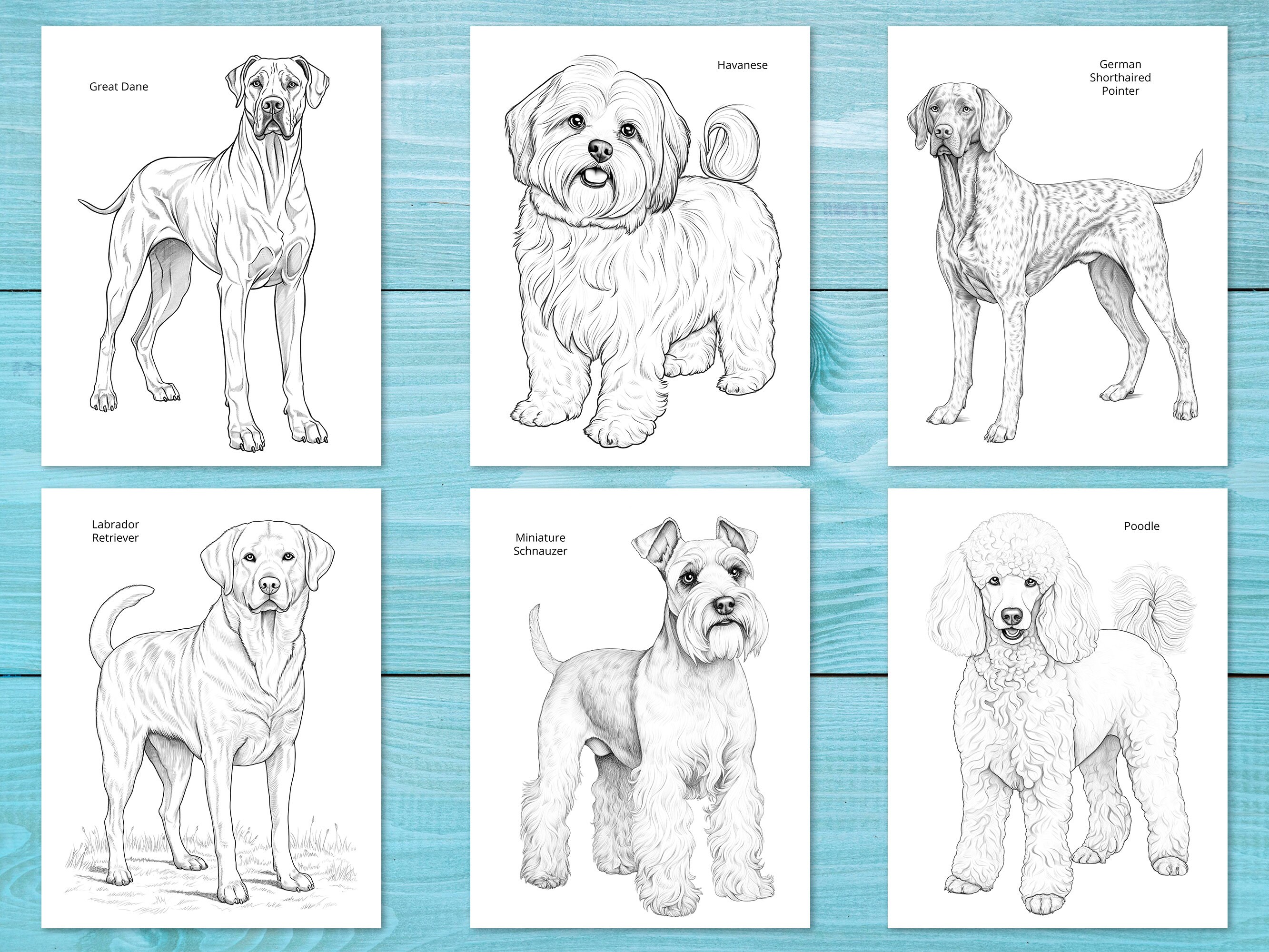 Dog Breeds Coloring Book, 30 Printable Dogs Coloring Pages for Kids and ...