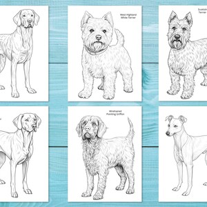 Dogs Coloring Book, 30 Printable Dog Breeds Coloring Pages for Kids and ...