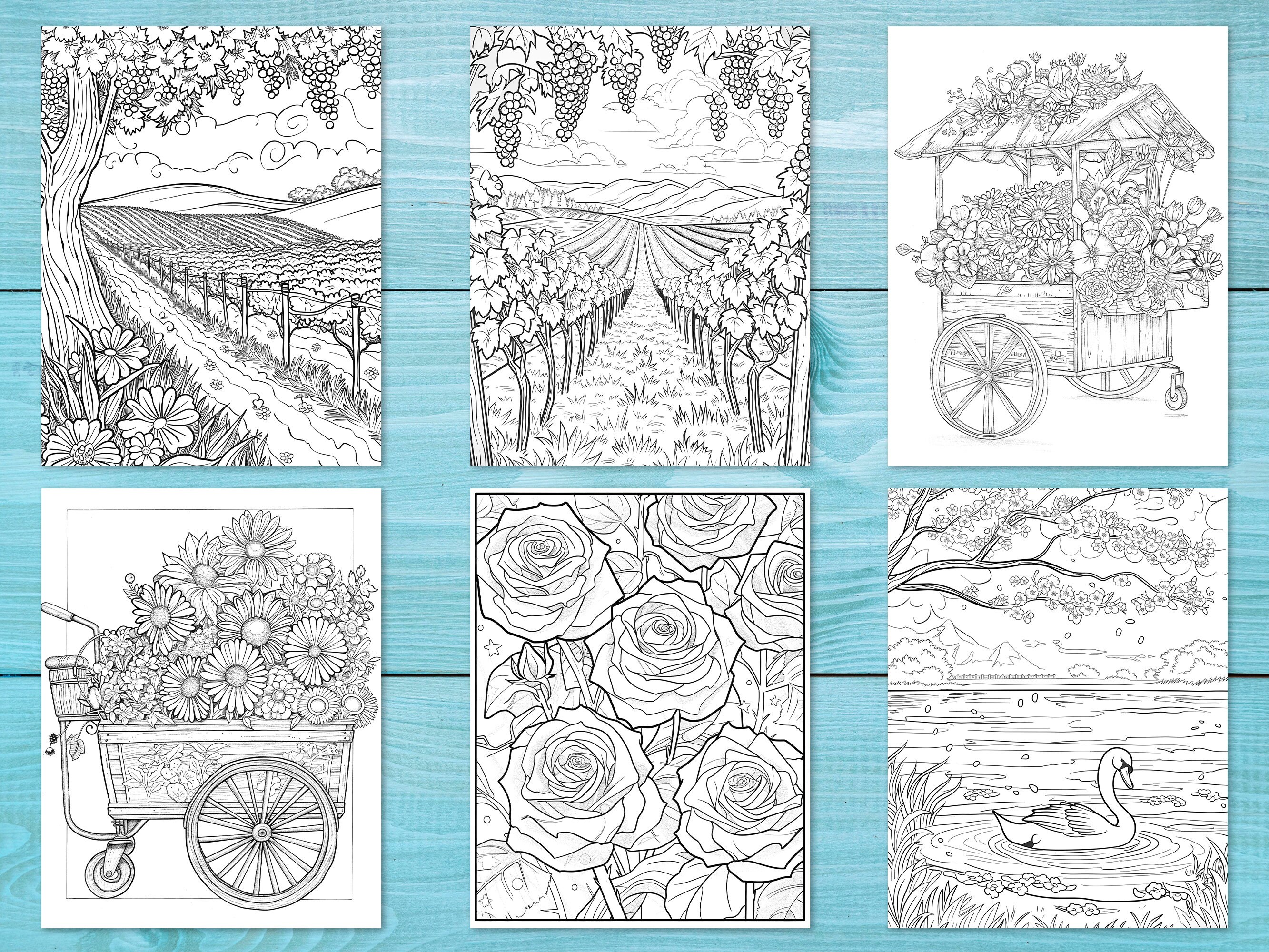 Spring Bloom Coloring Book, 38 Printable Blooming Flowers Pages for ...
