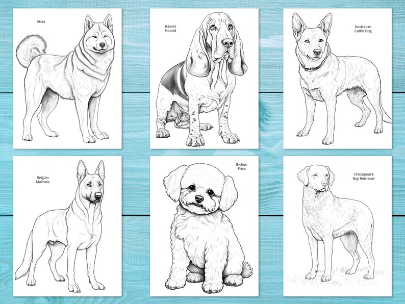 Dogs Coloring Book, 30 Printable Dog Breeds Coloring Pages for Kids and ...