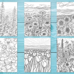 Floral Fields Coloring Pages, 32 Printable Landscape Coloring Book for ...