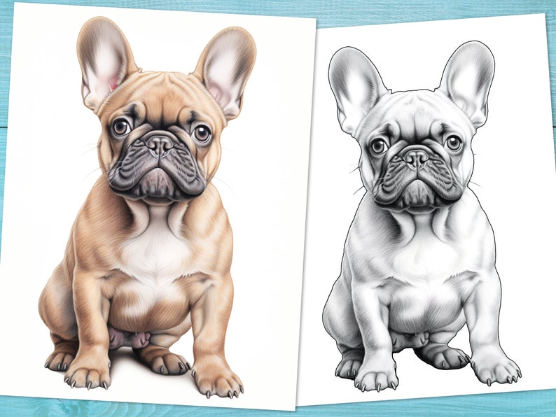 Dog Breeds Coloring Book, 30 Printable Dogs Coloring Pages for Kids and ...