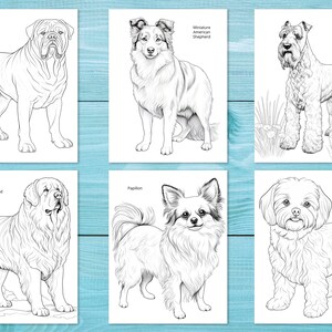 Dogs Coloring Book, 30 Printable Dog Breeds Coloring Pages for Kids and ...