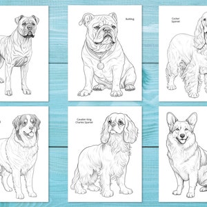 Dog Breeds Coloring Book, 30 Printable Dogs Coloring Pages for Kids and ...