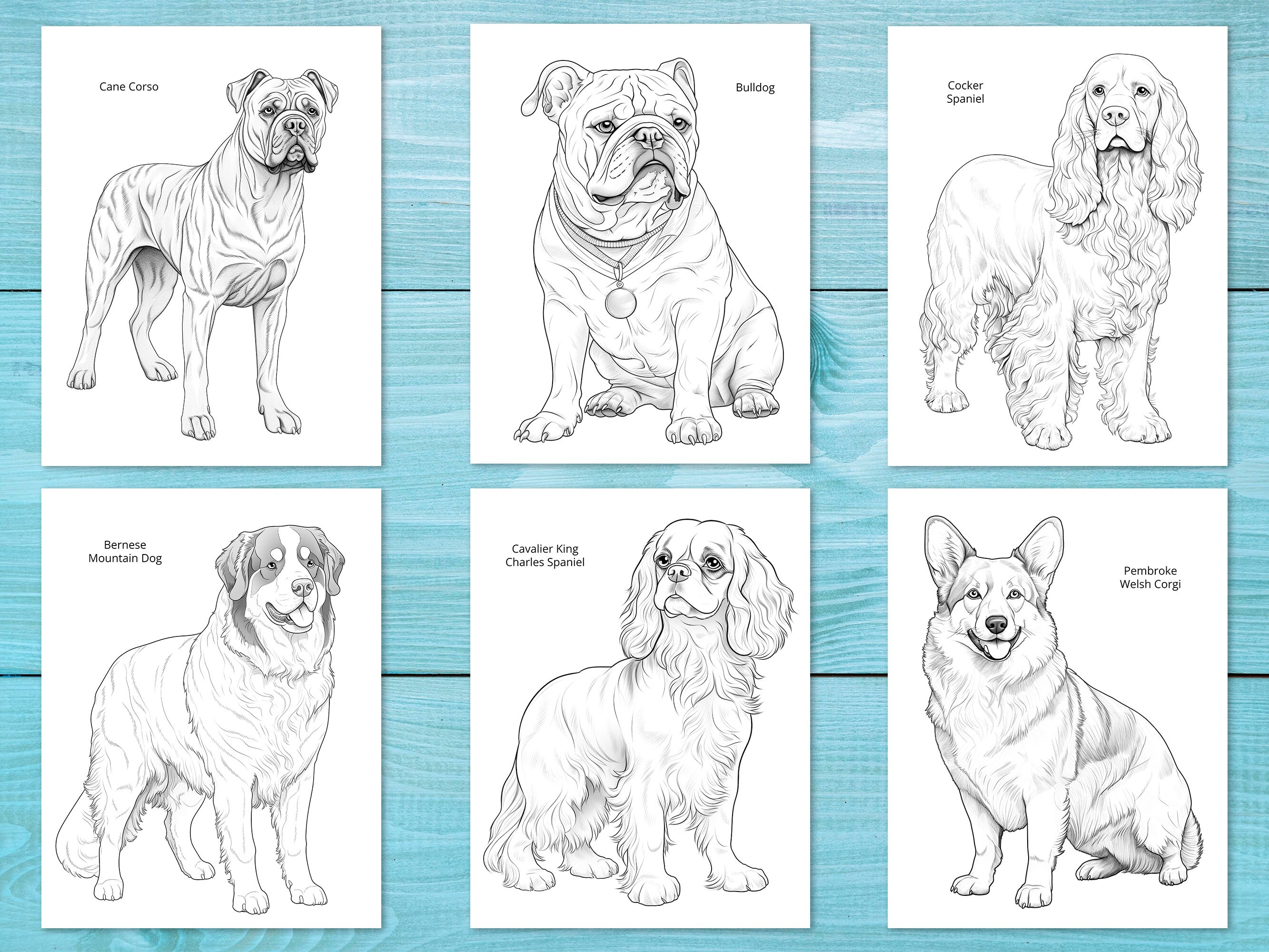 Dog Breeds Coloring Book, 30 Printable Dogs Coloring Pages for Kids and ...