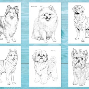 Dog Breeds Coloring Book, 30 Printable Dogs Coloring Pages for Kids and ...