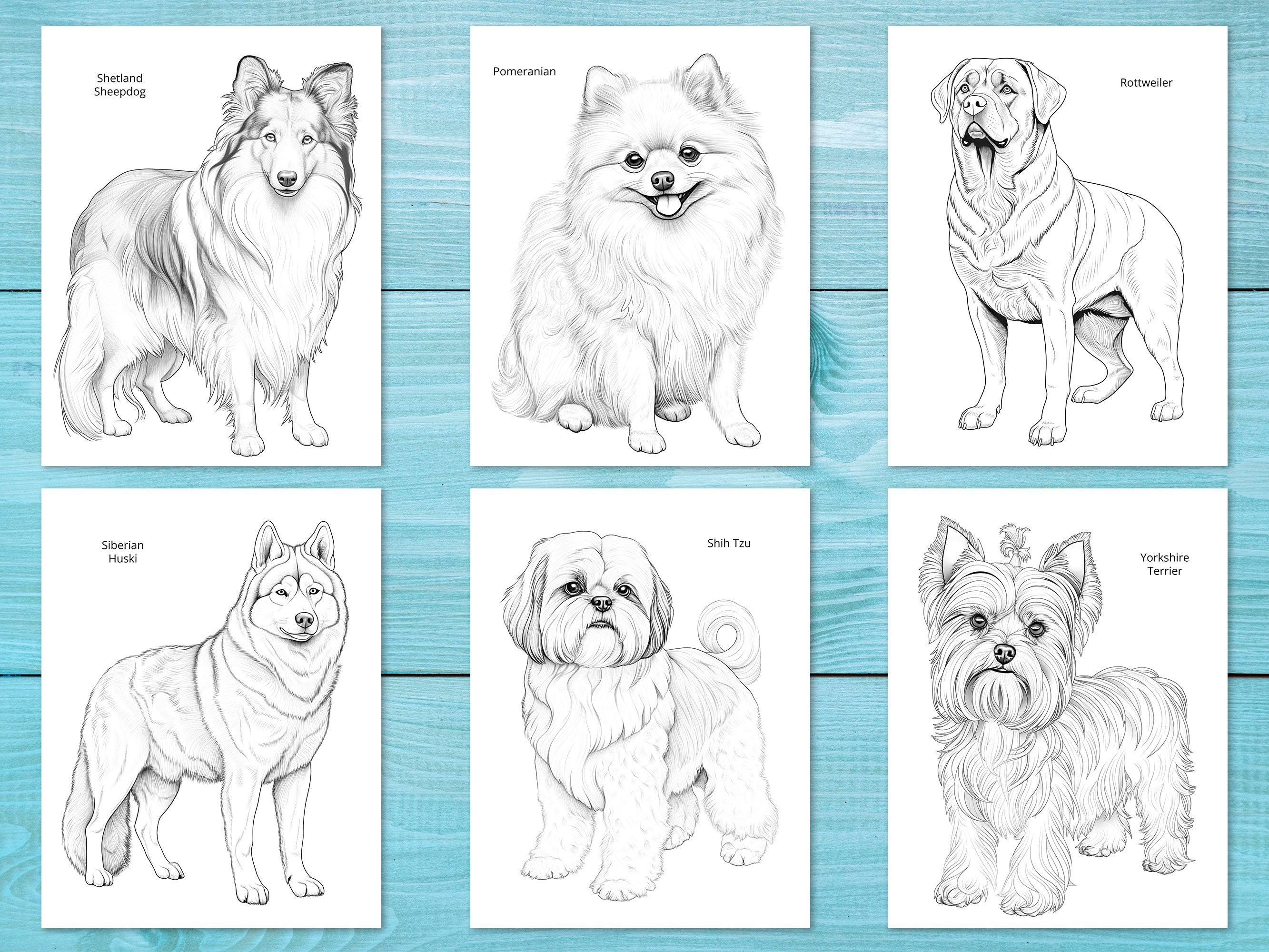 Dog Breeds Coloring Book, 30 Printable Dogs Coloring Pages for Kids and ...