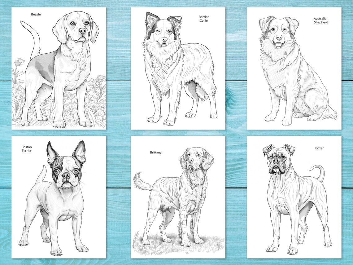 Dog Breeds Coloring Book, 30 Printable Dogs Coloring Pages for Kids and ...
