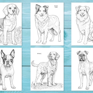 Dog Breeds Coloring Book, 30 Printable Dogs Coloring Pages for Kids and ...