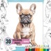 Dog Breeds Coloring Book, 30 Printable Dogs Coloring Pages for Kids and ...