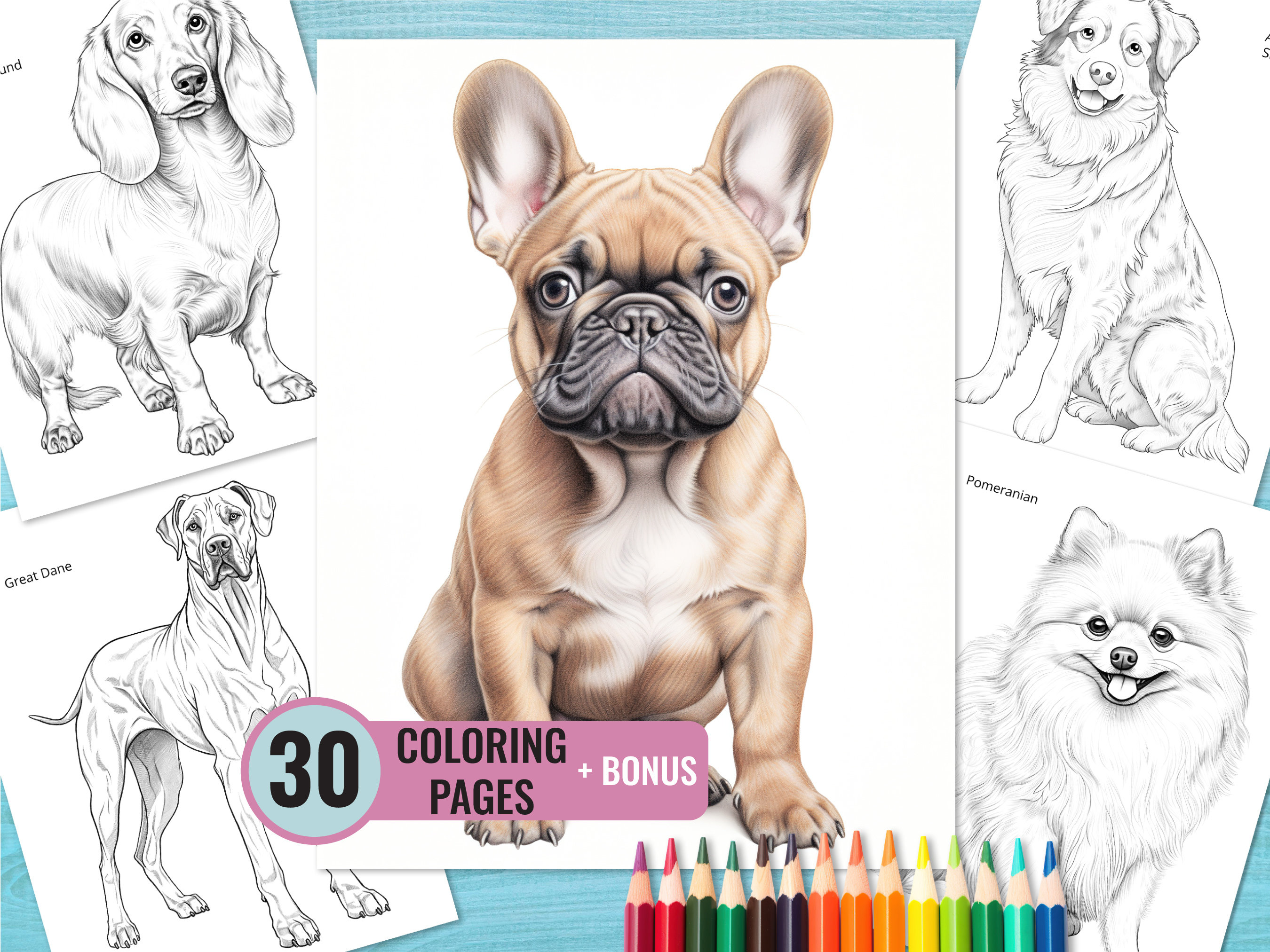 Dog Breeds Coloring Book, 30 Printable Dogs Coloring Pages for Kids and ...