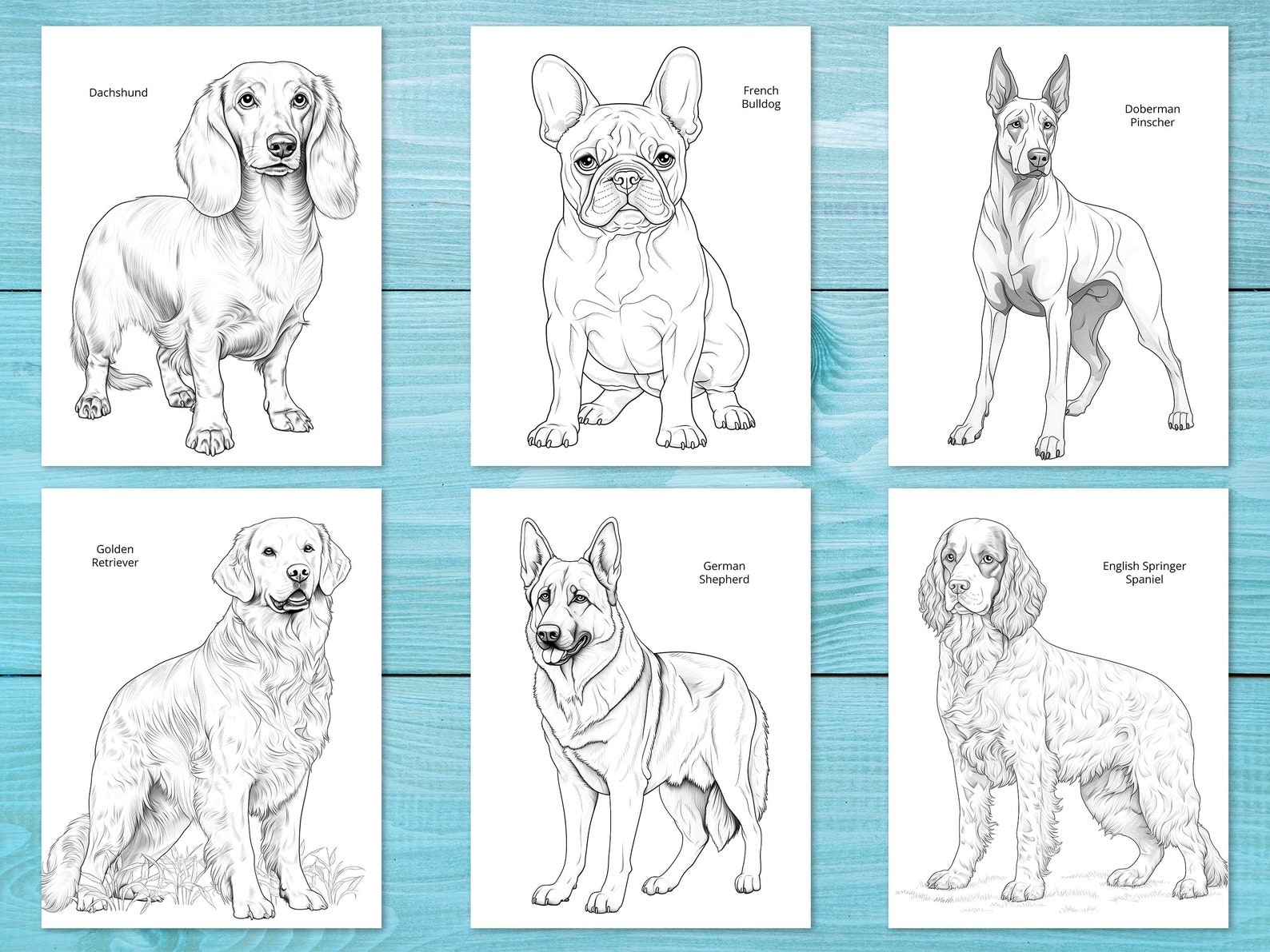 Dog Breeds Coloring Book, 30 Printable Dogs Coloring Pages for Kids and ...