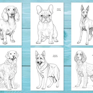Dog Breeds Coloring Book, 30 Printable Dogs Coloring Pages for Kids and ...
