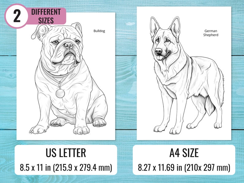 Dog Breeds Coloring Book, 30 Printable Dogs Coloring Pages for Kids and ...