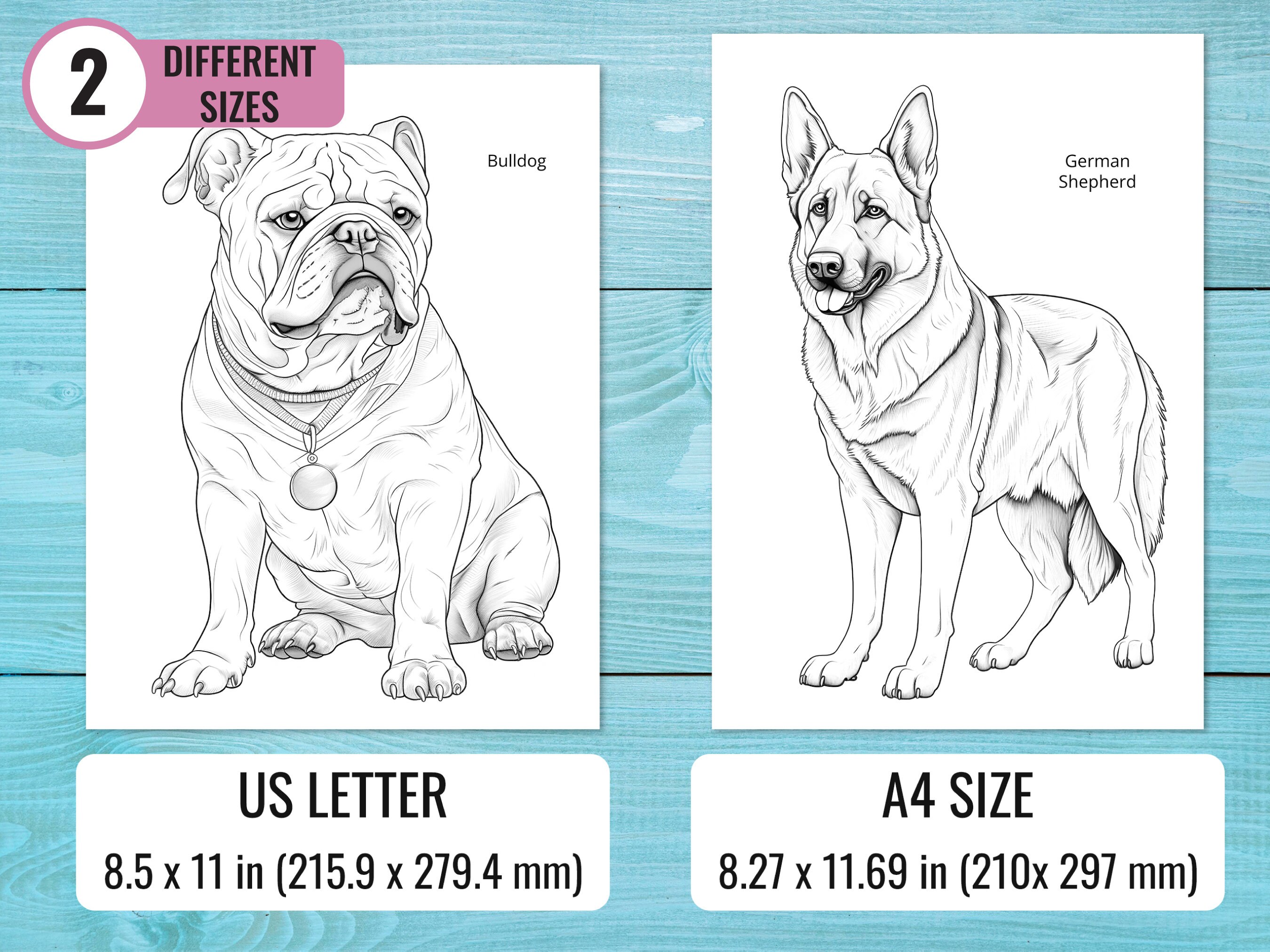 Dog Breeds Coloring Book, 30 Printable Dogs Coloring Pages for Kids and ...