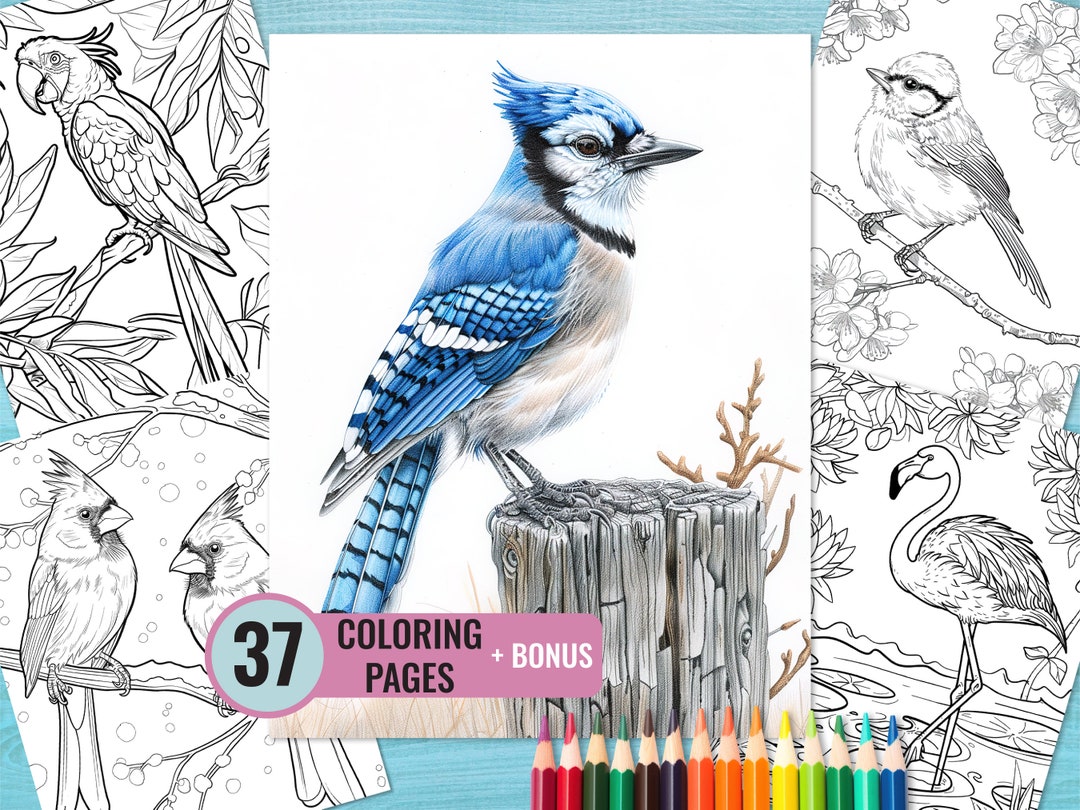 Birds Coloring Book, 37 Printable Feathered Pages for Adults and Kids ...