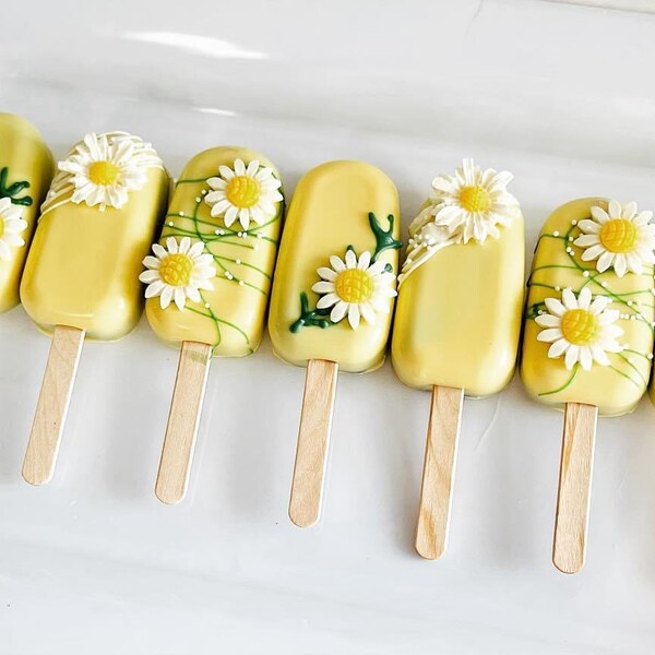 Cakesicles - Etsy