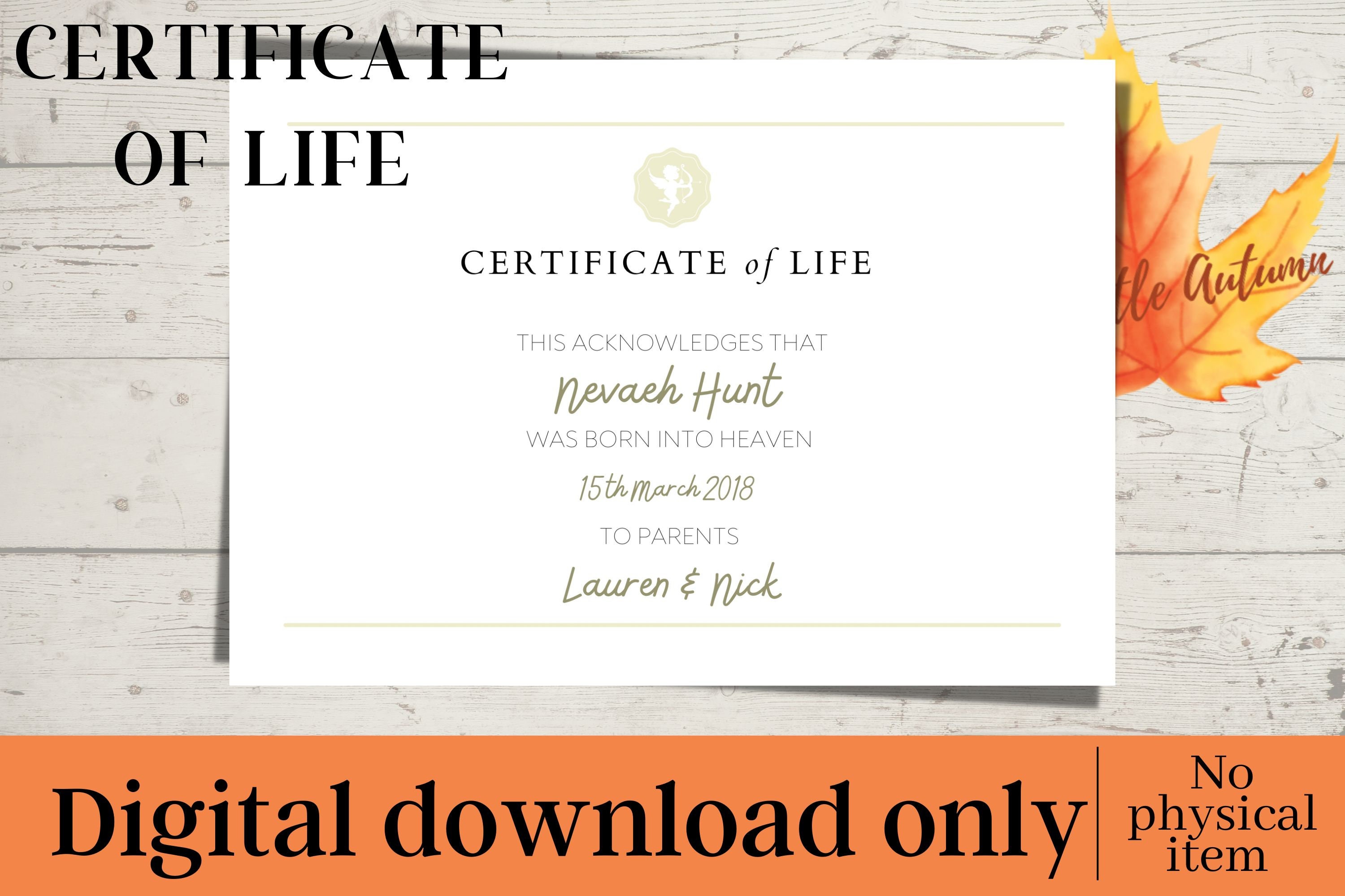 Personalised Certificate of Life, Stillbirth Certificate, Miscarriage ...