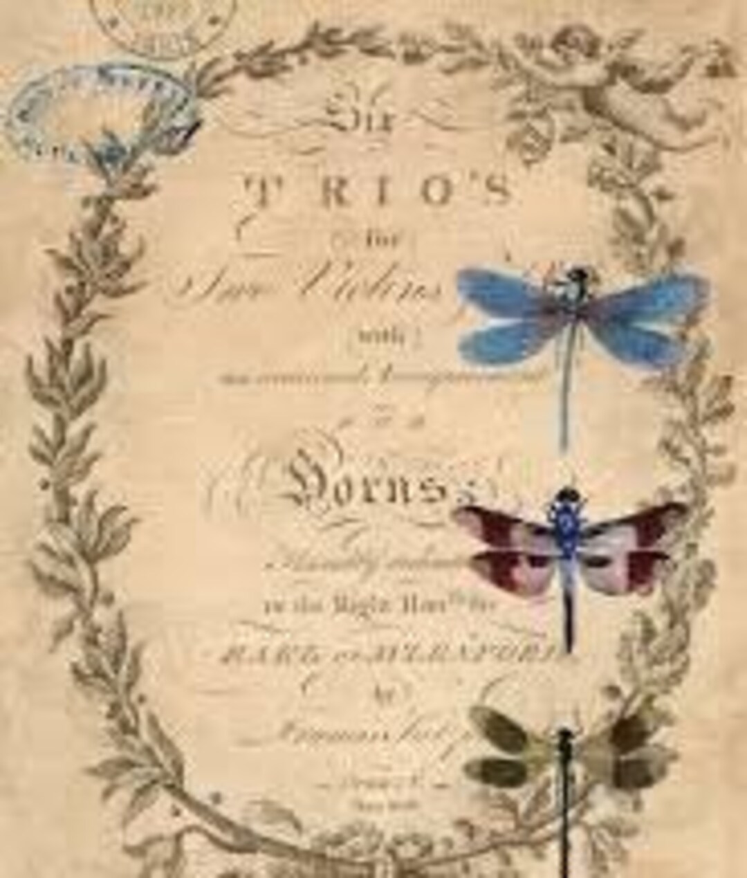 Dragonflies - Roycycled Decoupage Tissue Papers - ROY 142 Dollar ...