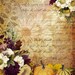 Decoupage Rice Paper- Autumn Message ∙ Decoupage Paper - 330 Pumpkin ...