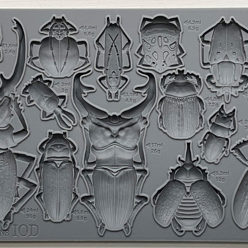 Bug Mold - Etsy
