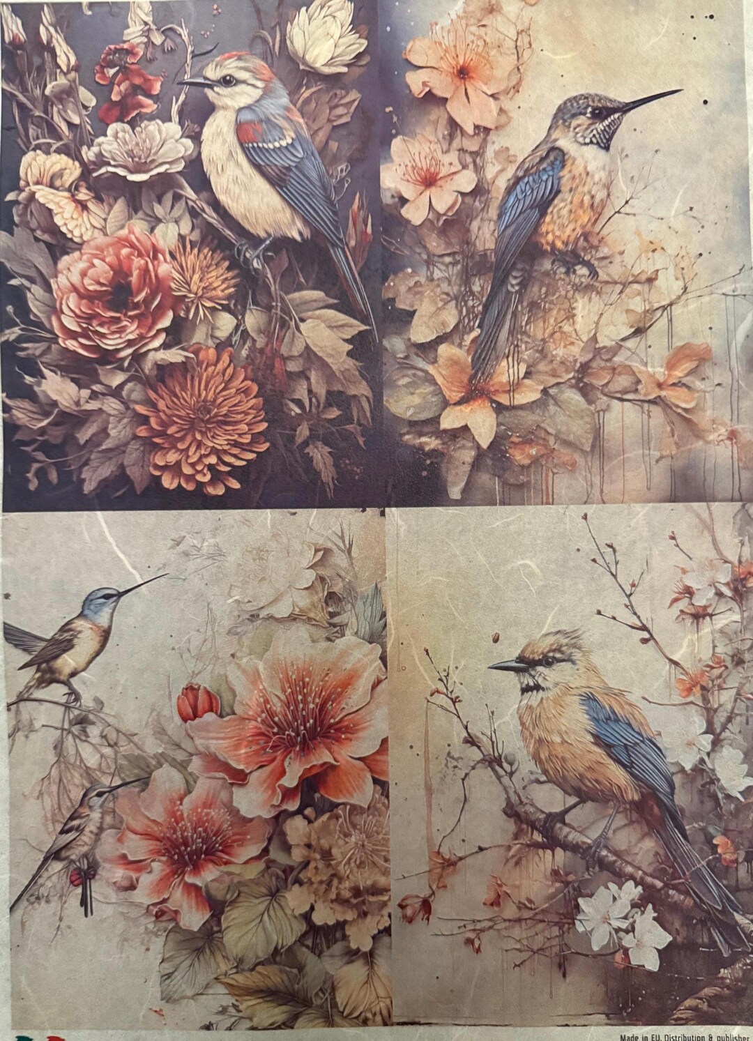 A4 Old World Birds Four Different Designs C196, Decoupage Rice Paper ...