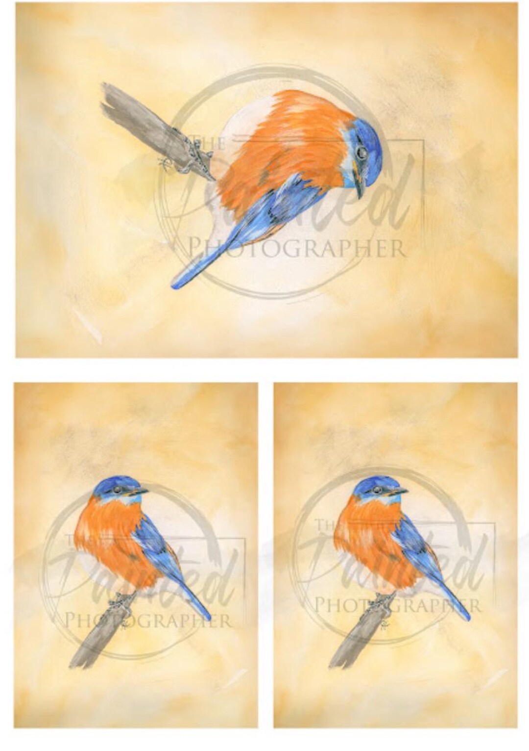 A4 Bluebird Multiple | Decoupage Rice Paper | 8.5"x11.7" Size | Connie ...
