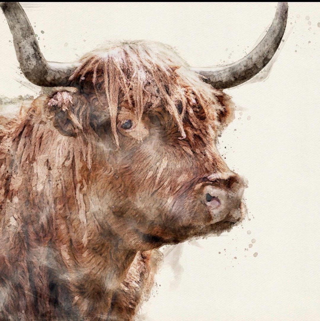 Large Format Decoupage Paper | Highland Cow | by Three Yellow Goats ...