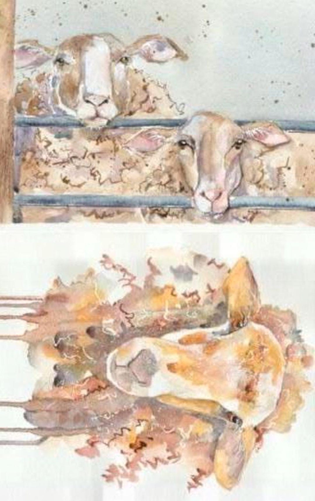 Sheep - Roycycled Decoupage Papers Roy 119 - Large Format Paper ...