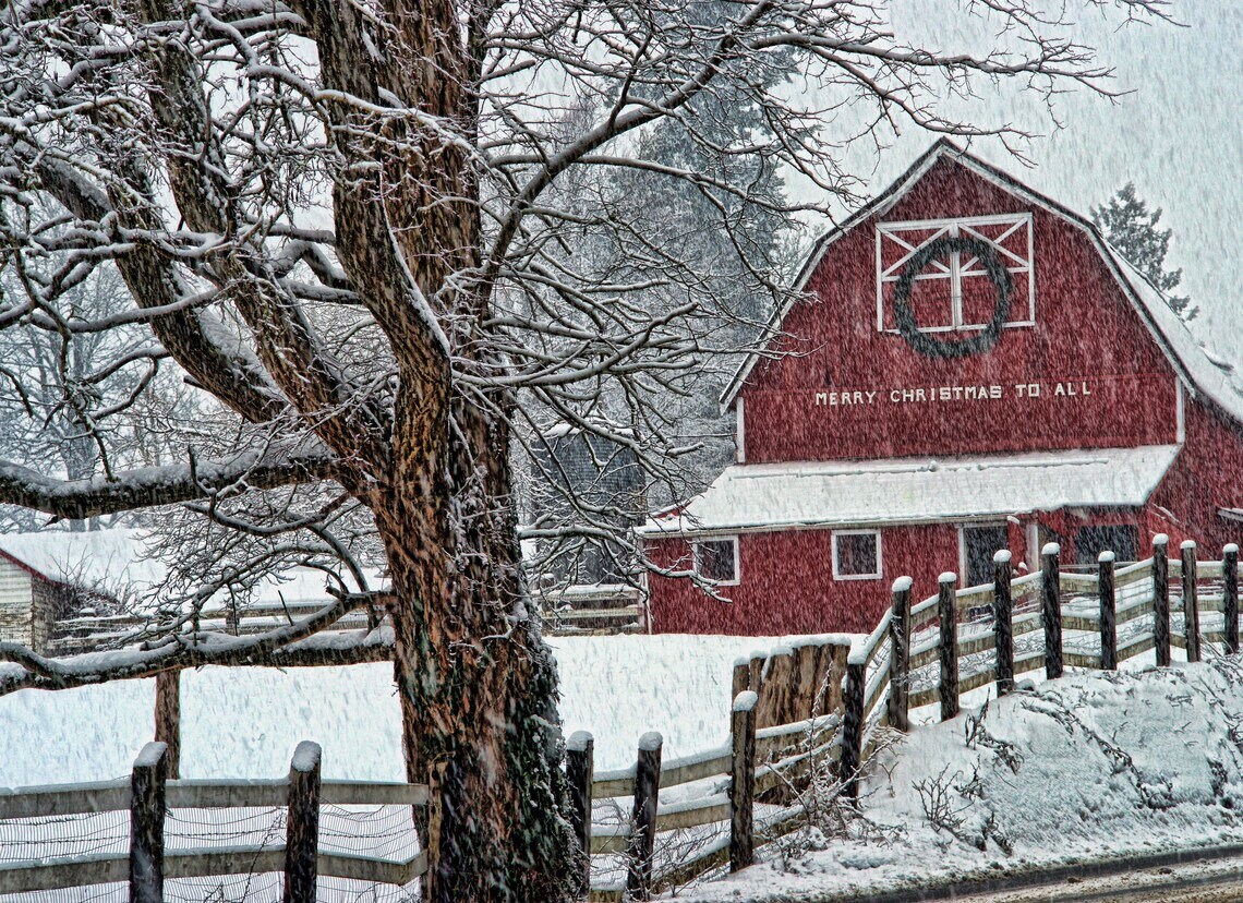Red Christmas Barn, Deborah Bucher Designs, 18 Lb Tissue, 21.25 X 29.25 ...