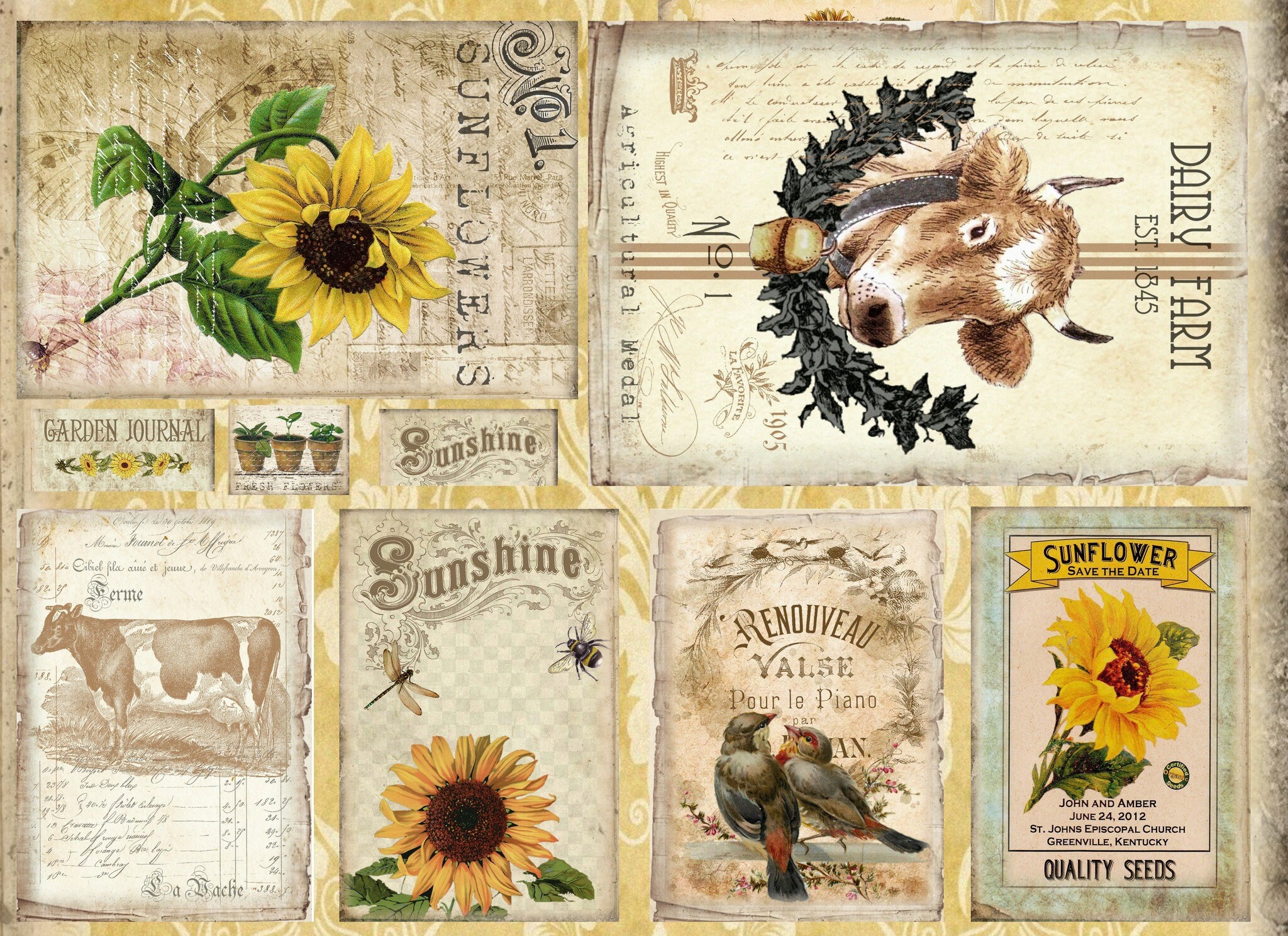 Large Format Sunflowers, Cows Oh My , Deborah Bucher Designs, Tissue ...