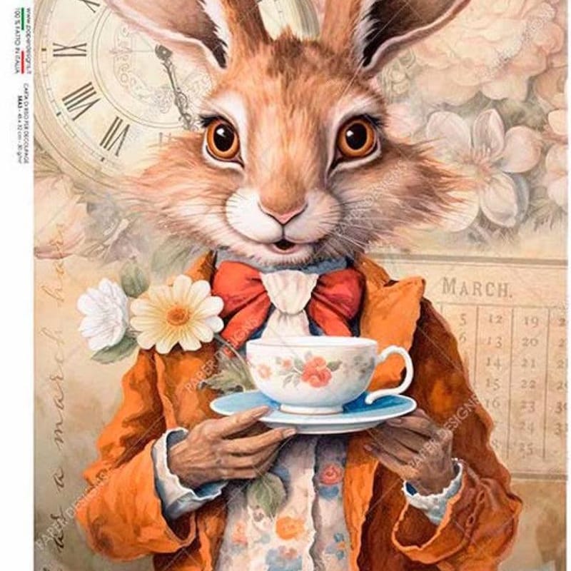 Peter Rabbit Rice Paper - Etsy