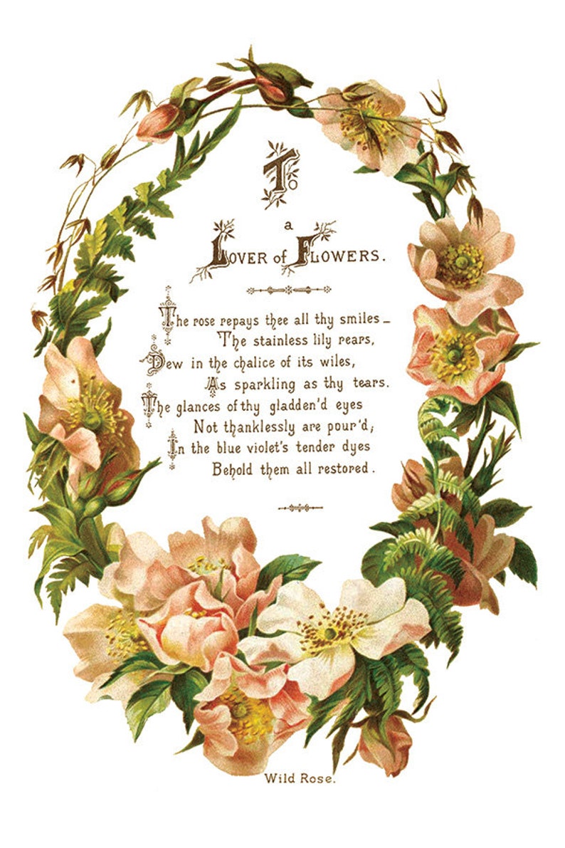 New! 2024 Rub on Transfer - Lover of Flowers || IOD Transfer 8 X 12 ...