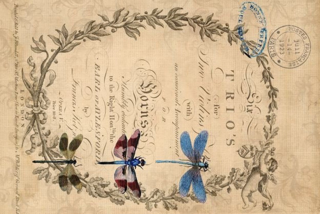 Dragonflies Roycycled Decoupage Tissue Papers ROY 142 Dollar Shipping ...