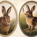 Decoupage Rice Paper- Antique Rabbit - JRV - A4 Size 8.3 X 11.7 Inches ...