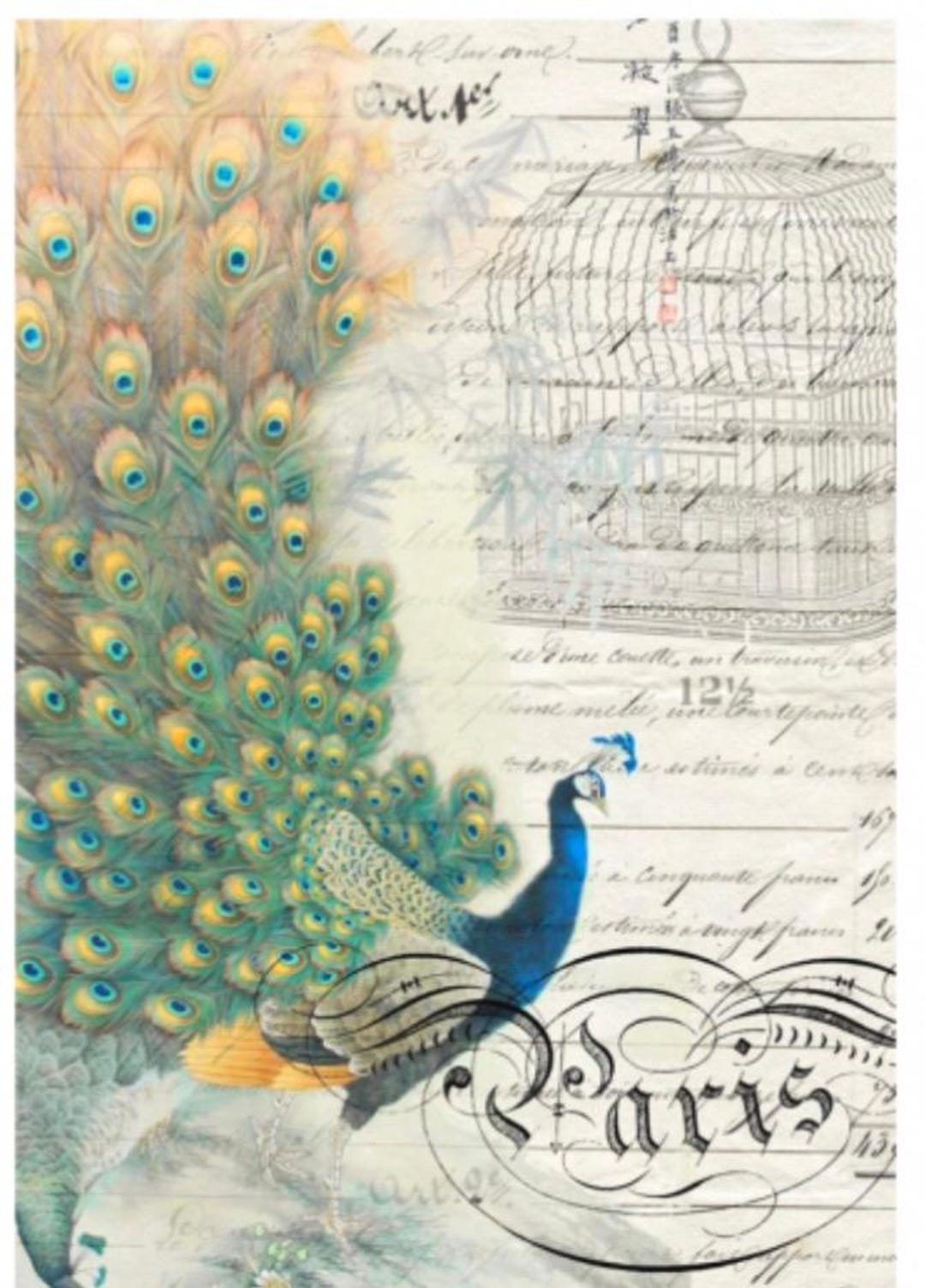 RETIRED Peacock Ephemera Left - Roycycled Decoupage Tissue Papers - ROY ...