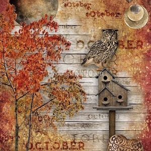 Decoupage Rice Paper- A4 Size - October Moon ∙ Decoupage Paper 326 Owl ...