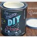 Debi's DIY Paint - Crinoline Color in 3 Sizes - Etsy