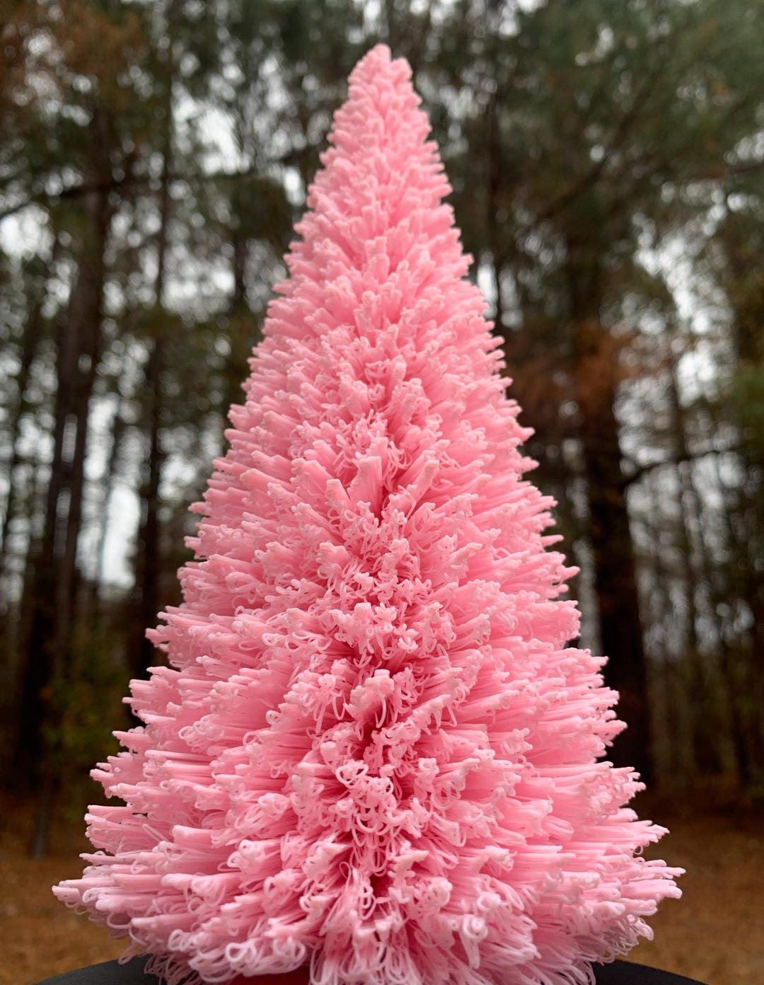 LAST ONE (1)! Pink EVERGREEN Tree - Thee Evergreen Under Construction ...