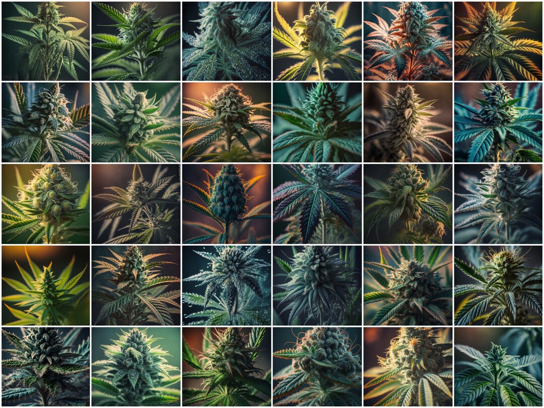 30 PCS Cannabis Home Decor Collage Kit, Stoner Decor, Printable Weed ...