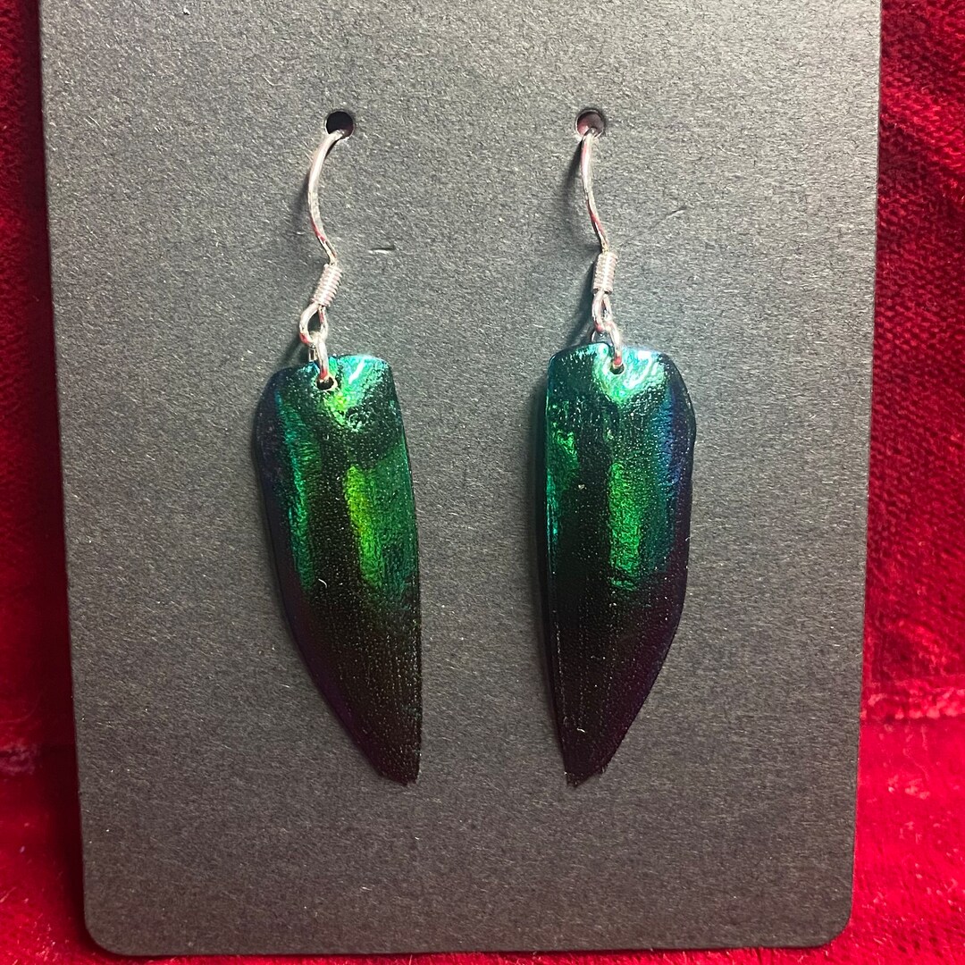 Elytra Wings Real Jeweled Beetle Wings Hypoallergenic 925 Sterling ...