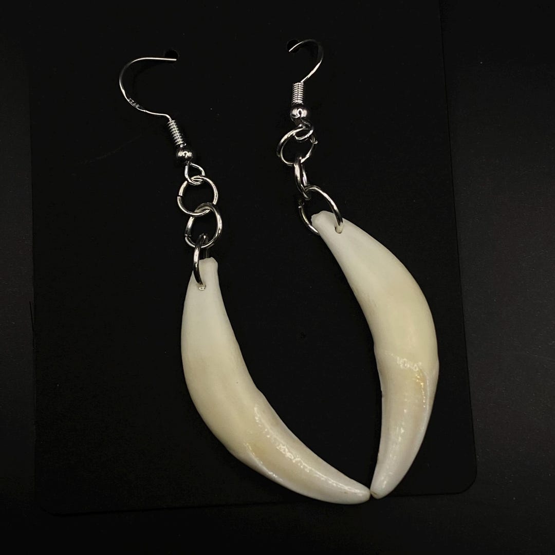 Coyote Fangs Canine Teeth Hypoallergenic 925 Sterling Silver Earrings ...