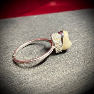 Human Tooth Ring Sterling Silver 925 Band With a Real Tooth - Etsy