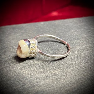 Human Tooth Ring Sterling Silver 925 Band With a Real Tooth - Etsy