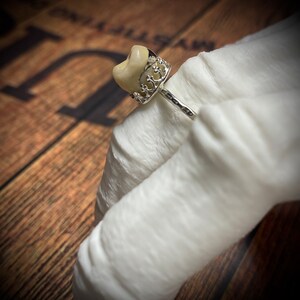 Human Tooth Ring Sterling Silver 925 Band With a Real Tooth - Etsy