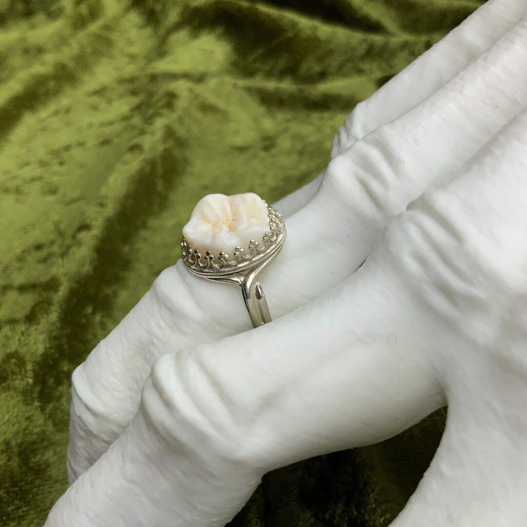 Human Tooth Ring Sterling Silver 925 Band With a Real Tooth Size 7 - Etsy