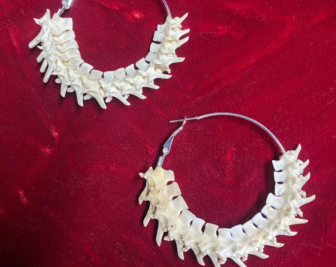 Rattlesnake Vertebrae on Hypoallergenic Silver Plated Nickel Free Hoop ...