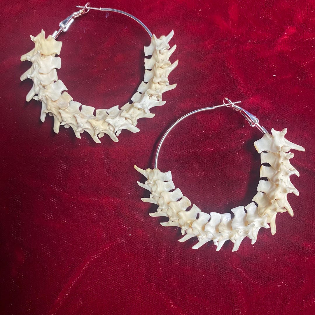 Rattlesnake Vertebrae on Hypoallergenic Silver Plated Nickel Free Hoop ...