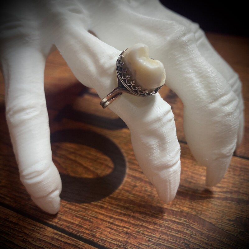 Tooth Ring - Etsy